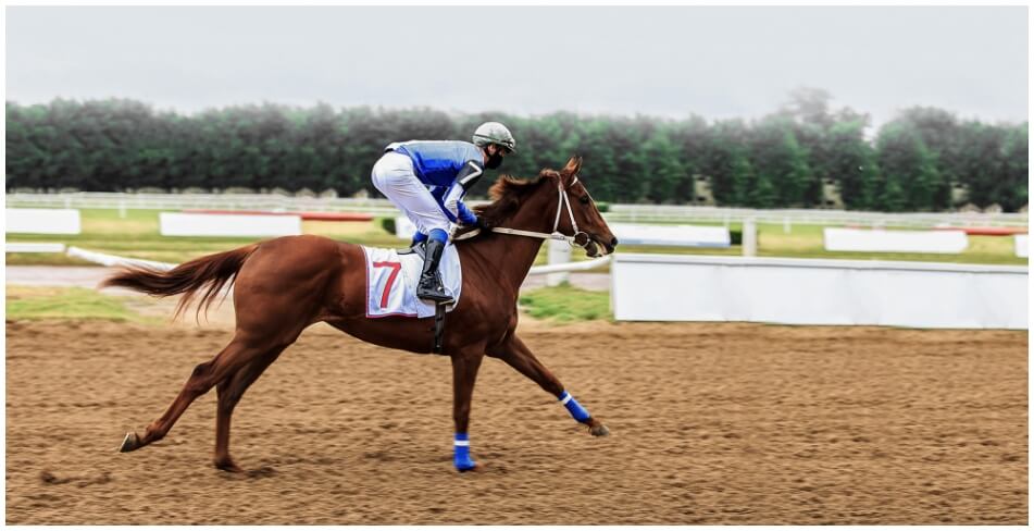 Two Liner Case Study Title Copy Goes Here - Gallop Track