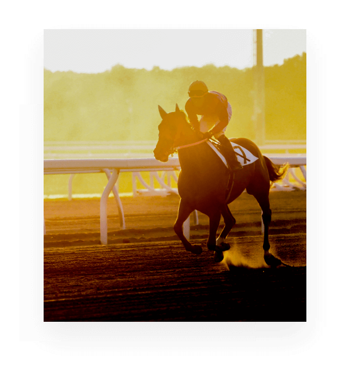 Two Liner Case Study Title Copy Goes Here - Gallop Track