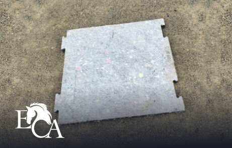 Gallop Track Equine Crossing Austrailia - Latest Development In Track ...