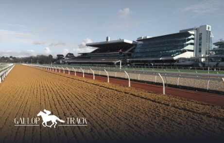 Gallop Track Equine Crossing Austrailia - Latest Development In Track ...